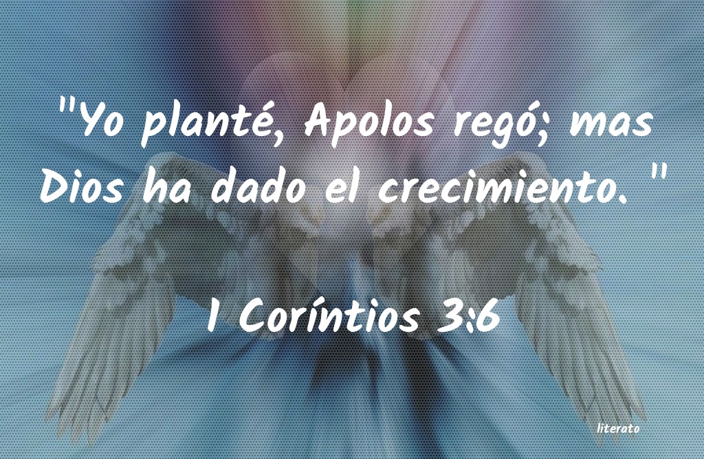 La Biblia - 1 Coríntios - 3:6