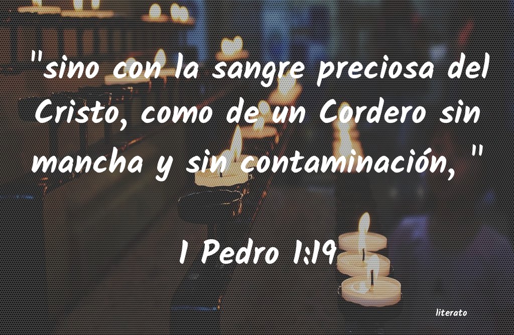 La Biblia 1 Pedro 1 19
