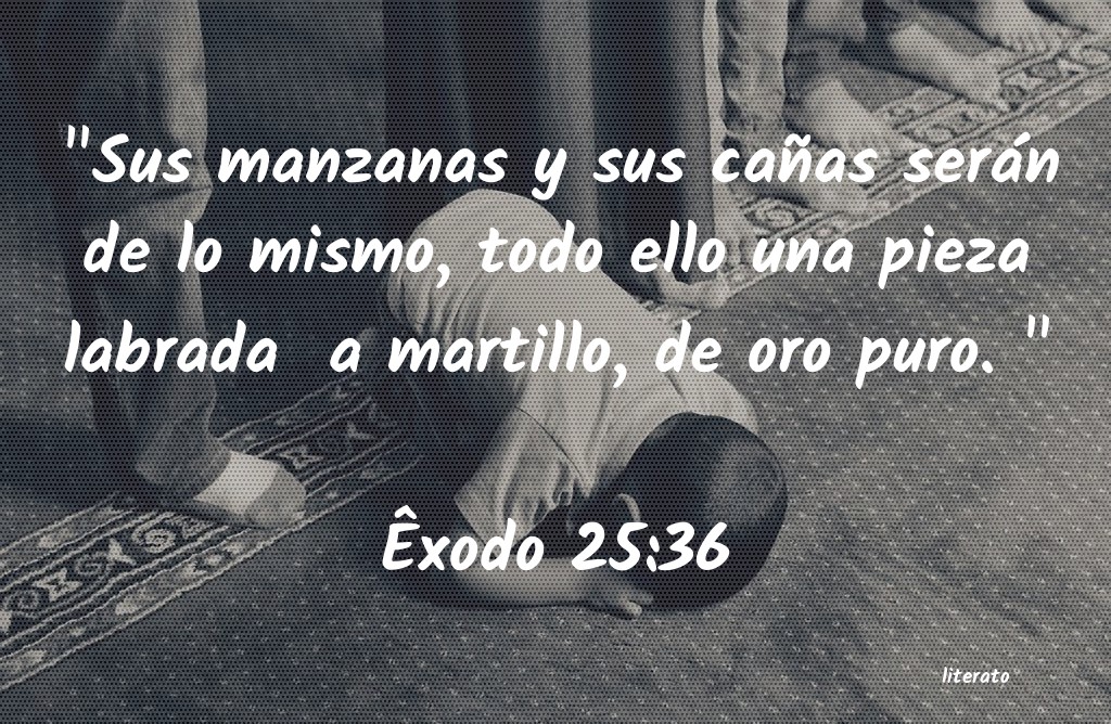 La Biblia - Êxodo - 25:36