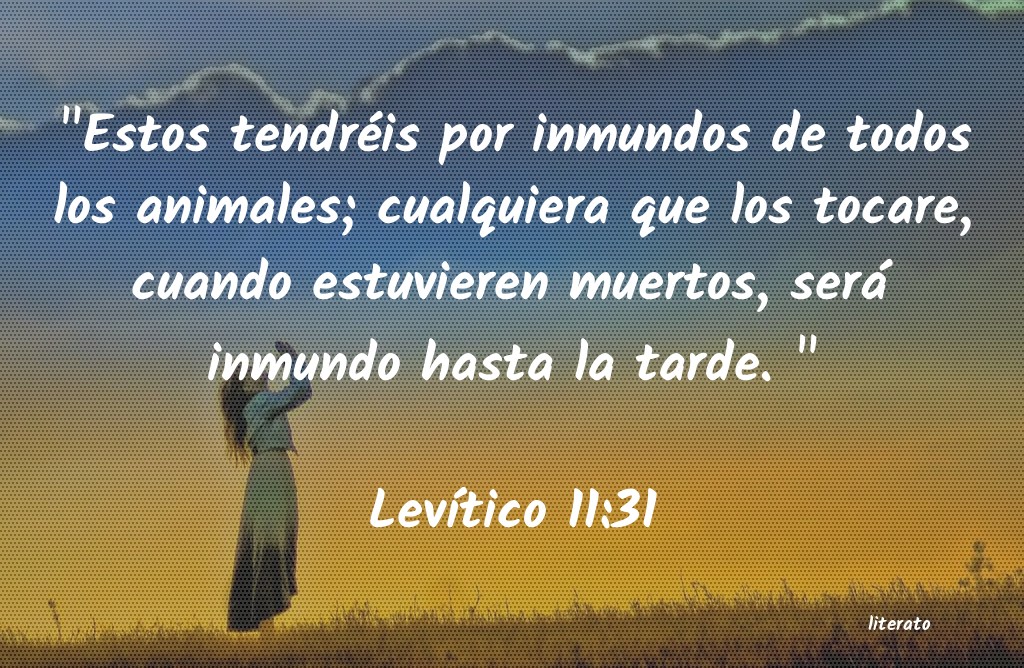 La Biblia - Levítico - 11:31
