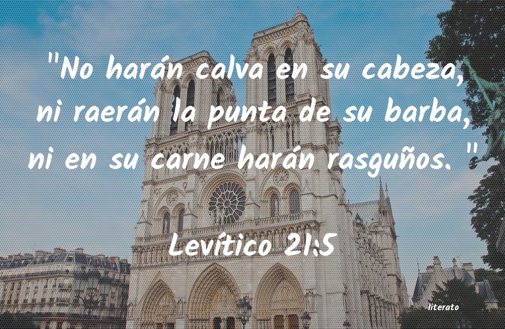 La Biblia - LevÃ­tico - 21:5