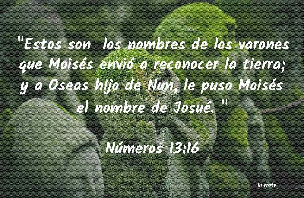 La Biblia N meros 13 16 la-biblia-n-meros-13-16
