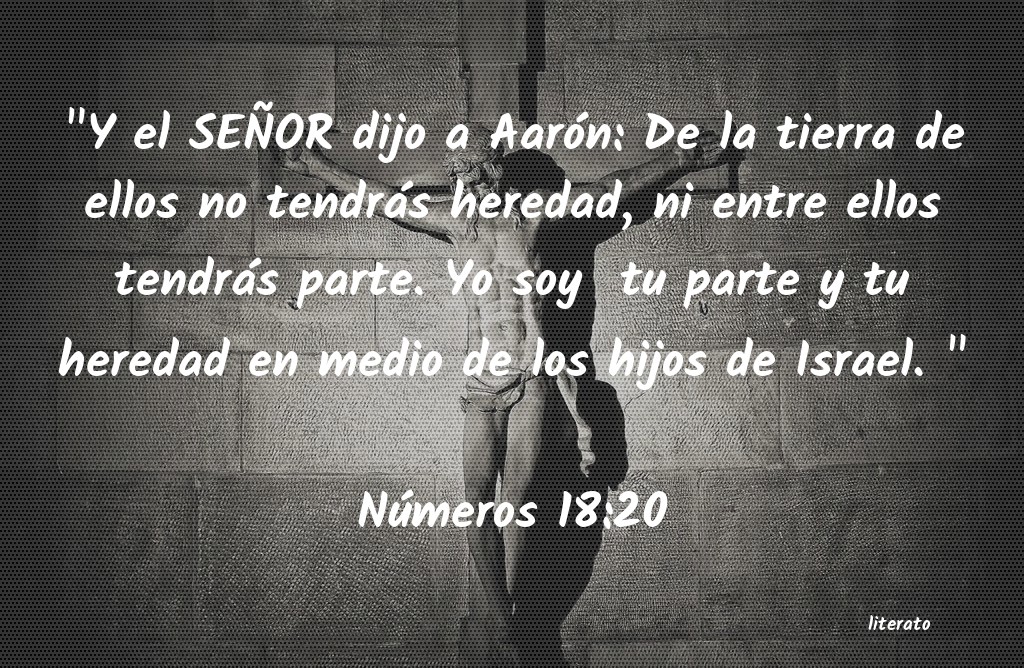 La Biblia - NÃºmeros - 18:20