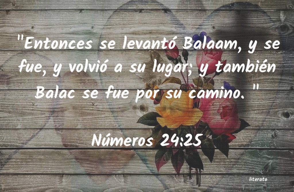 La Biblia - NÃºmeros - 24:25