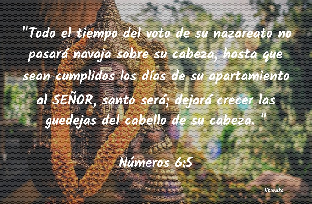 La Biblia - NÃºmeros - 6:5
