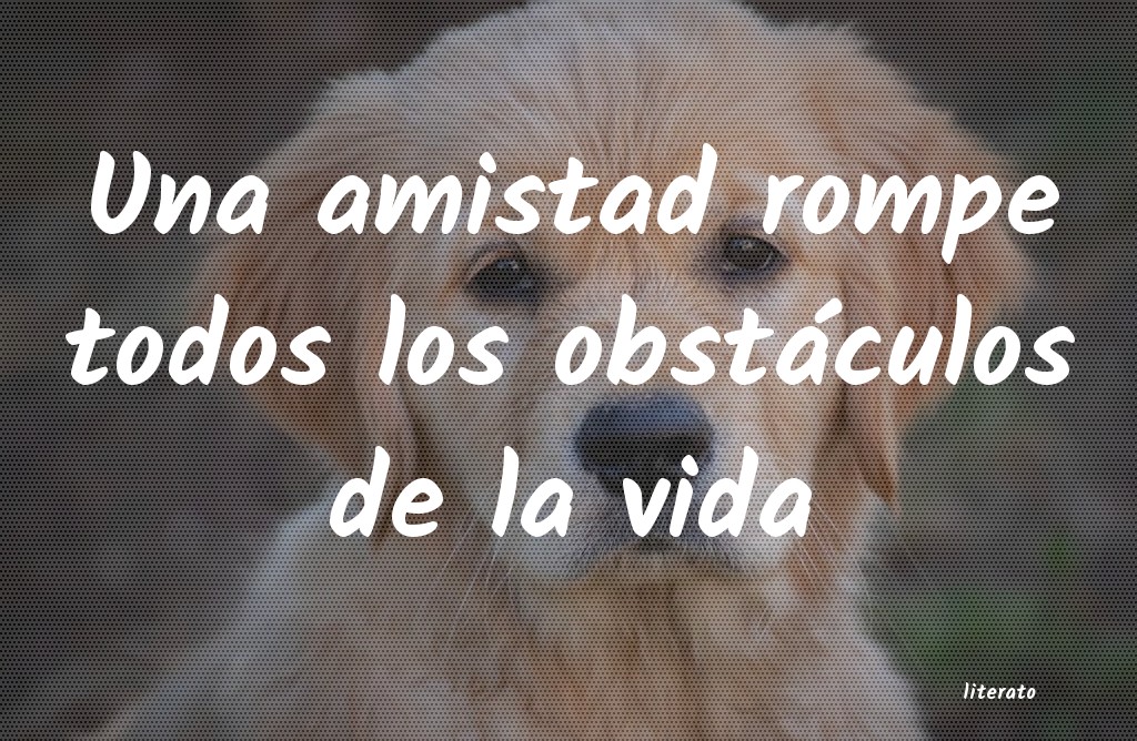 Frases para vencer obstaculos - Literato (7) Frases para vencer obstaculos - Literato (7)